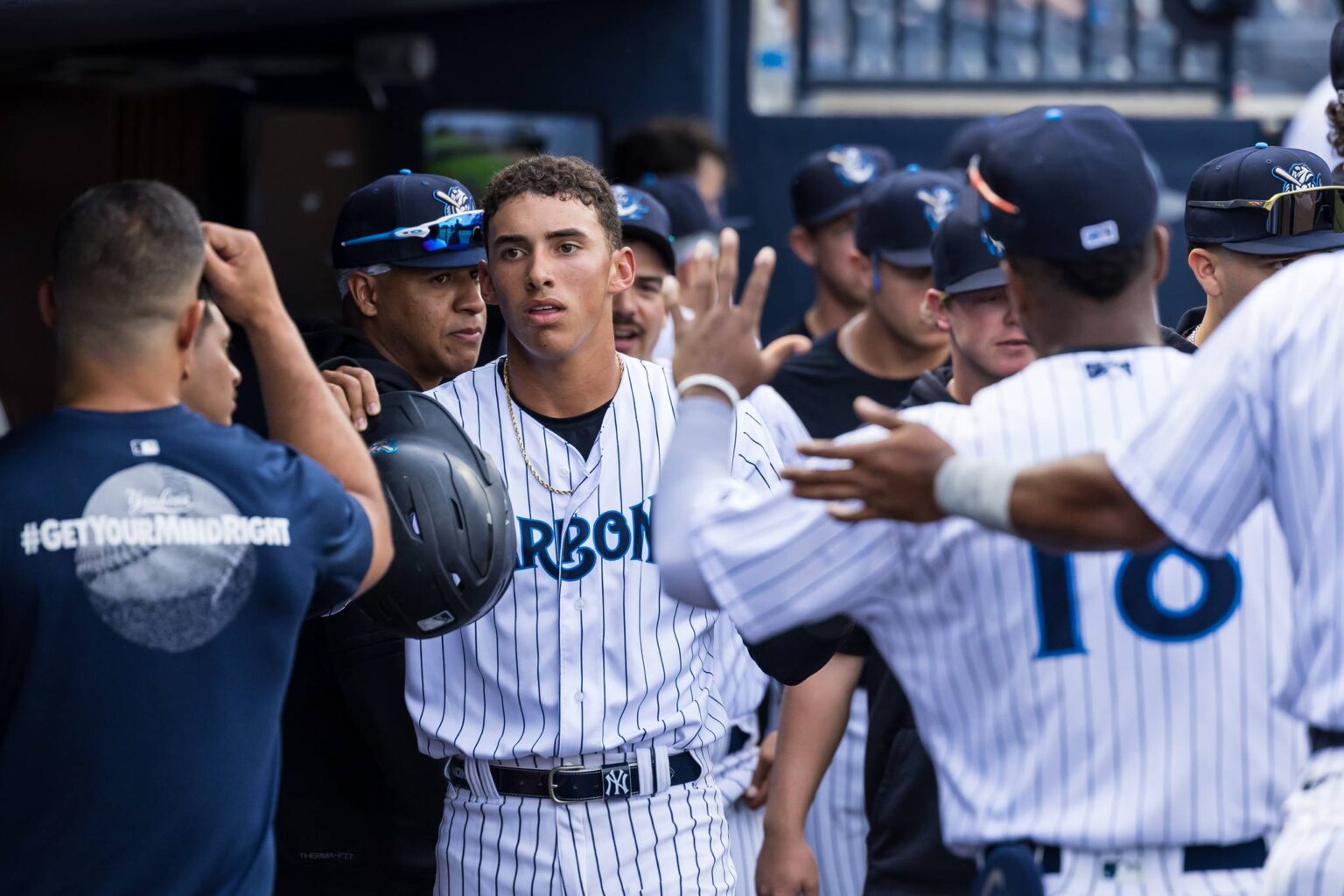 Meet Your Tarpons | Minor League Baseball